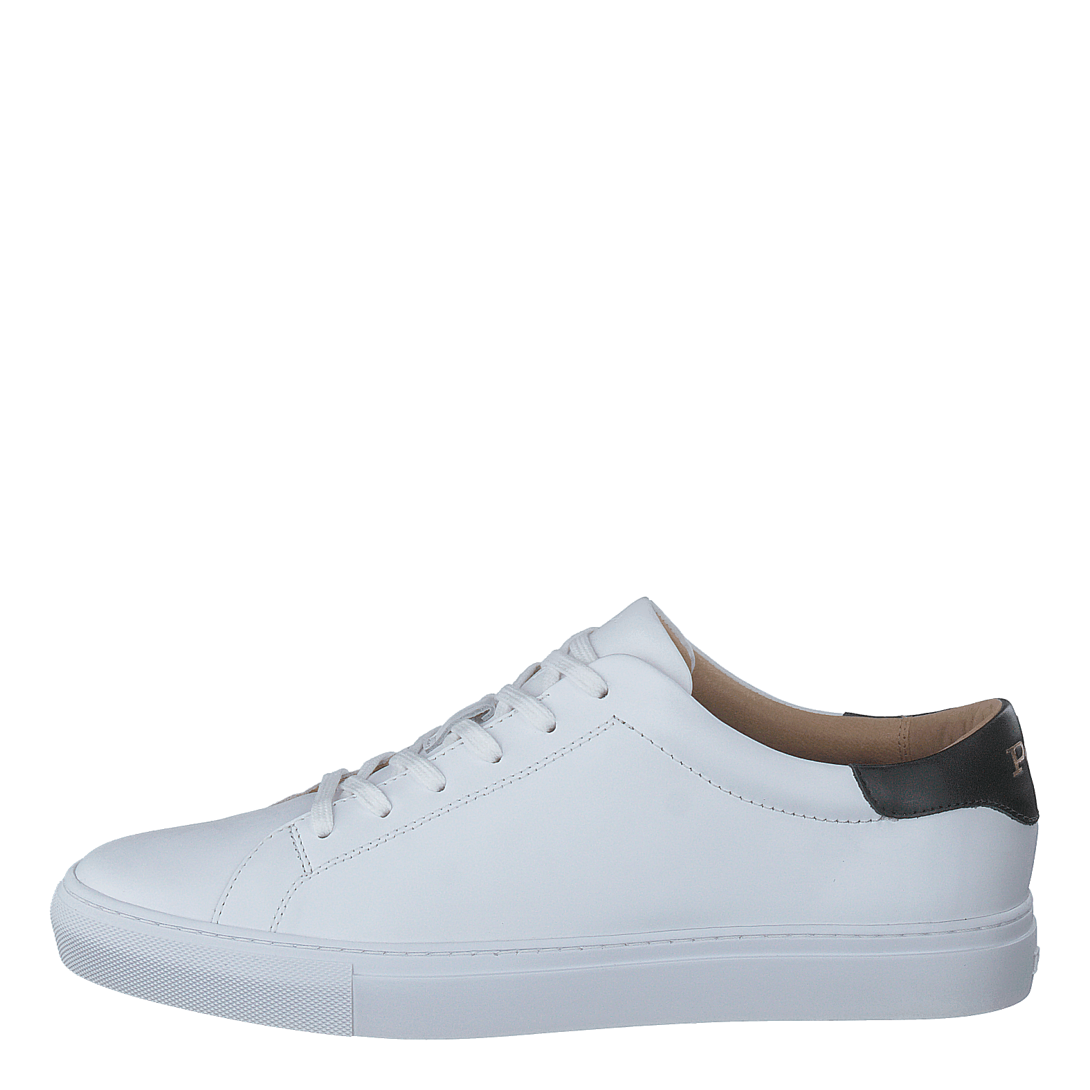 Polo Ralph Lauren Jermain Leather Sneaker White – Brandosa.com