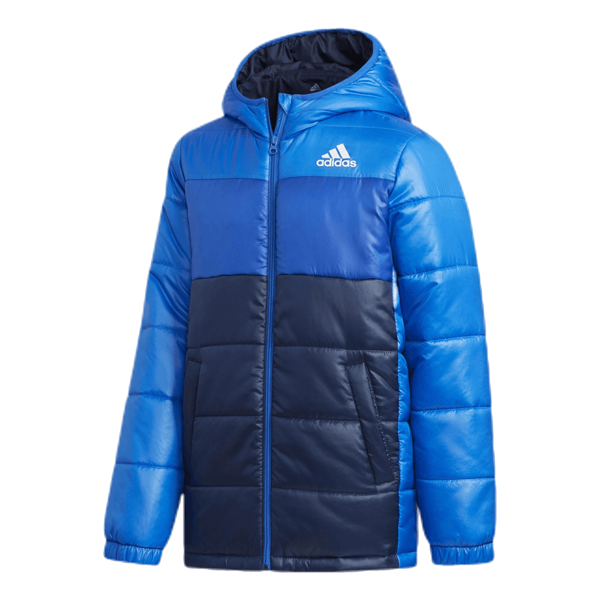 adidas Junior Padded Stadium Blue – Brandosa.com